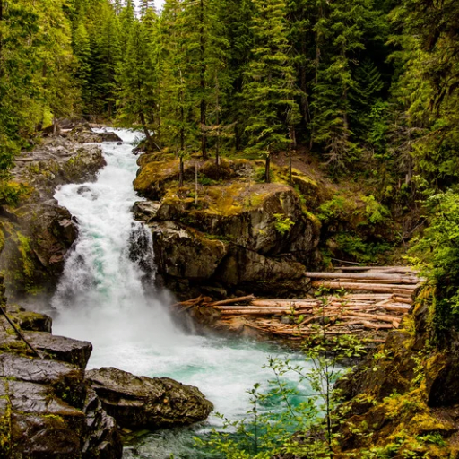 HERBAL EARTHY WOODY – Bellini Candle Co